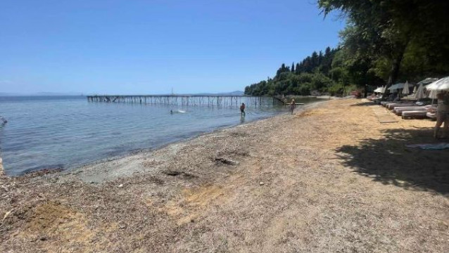 Mon Repos beach open to the public