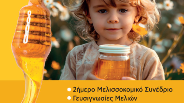 Με πολλές συμμετοχές από την Περιφέρεια Ιονίων Νήσων το 16ο Φεστιβάλ ...