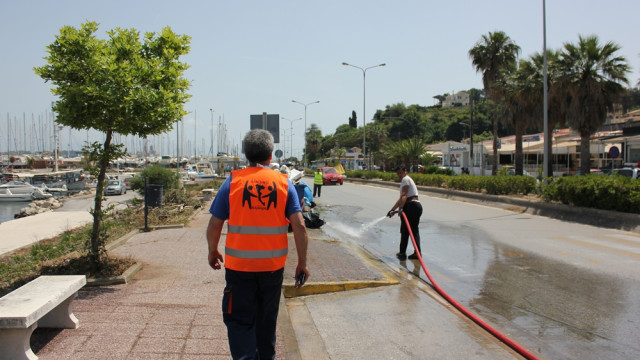 Volunteers cleaning up once again: The sea can be seen again from the ...