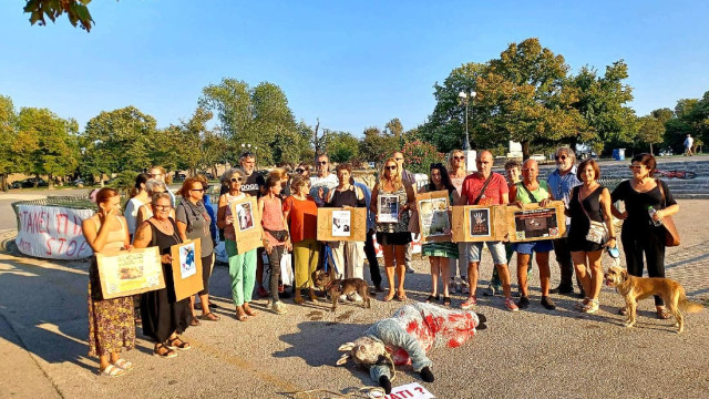 Animal welfare groups in Upper Square to raise public awareness