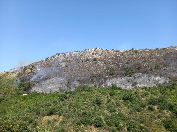 Central Corfu Municipality on implementation of Fire Protection ...
