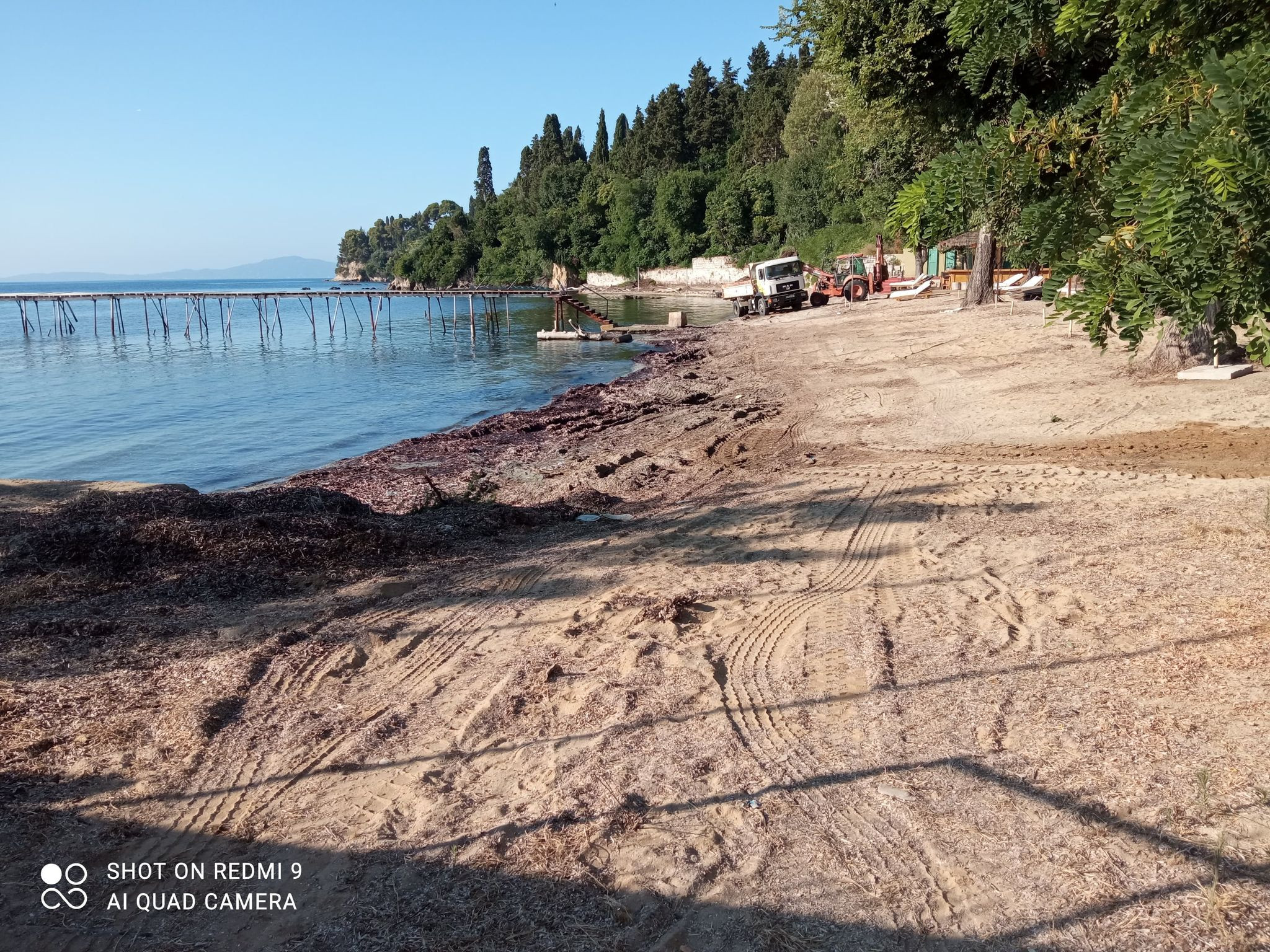 Mon Repos beach to reopen for bathers