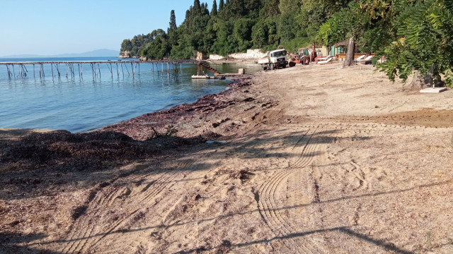 Mon Repos beach to reopen for bathers