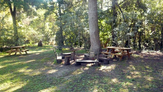 Caution needed when visiting Mon Repos to avoid accidents