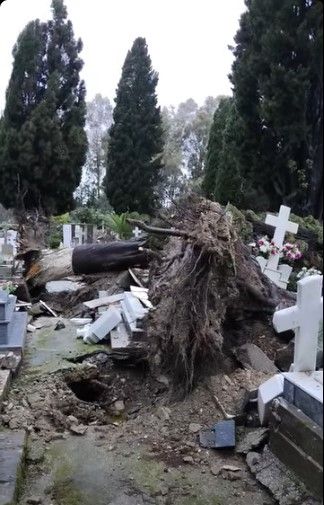 Storm causes serious damage to graves in First Cemetery