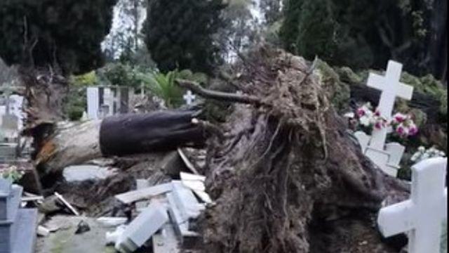 Storm causes serious damage to graves in First Cemetery