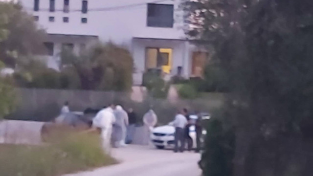 Criminal organisation responsible for two murders in Halikouna in 2020 ...